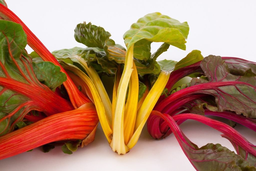 Chard or Swiss chard (Beta vulgaris subsp. vulgaris) - Dear Plants