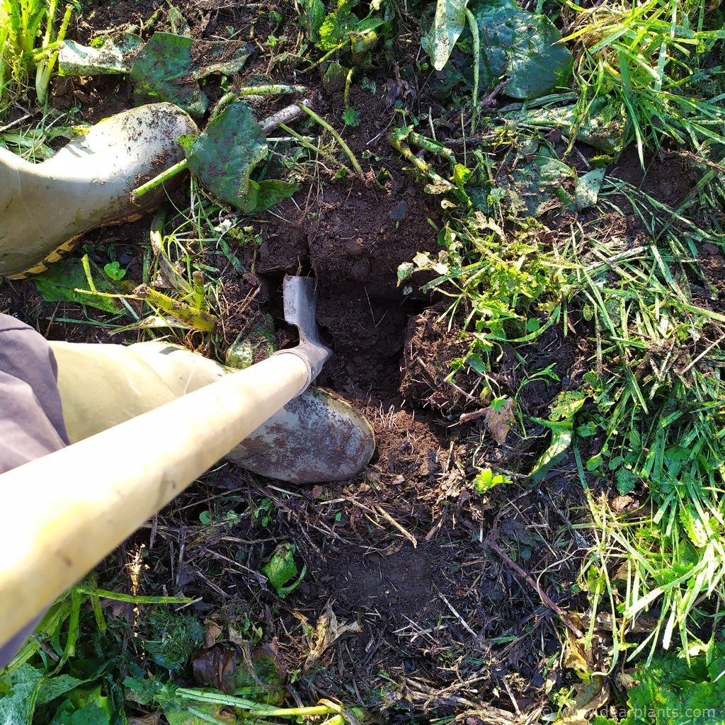 How to make a compost bin, diy simple and easy - Dear Plants