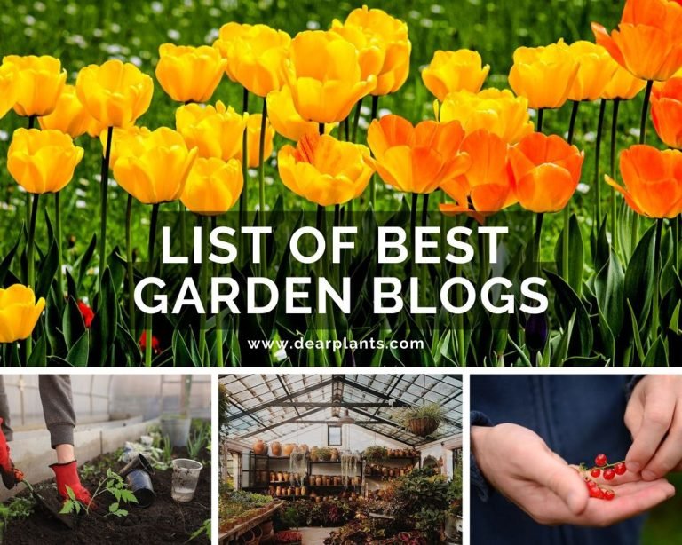 15+ List of Best Garden Blogs for Plant Lovers - Dear Plants